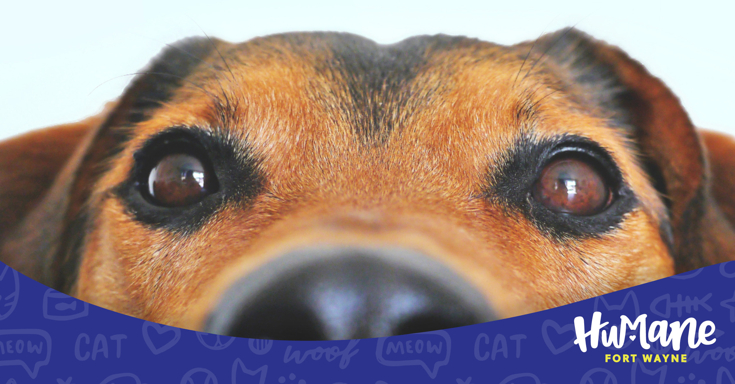 Events - Humane Fort Wayne