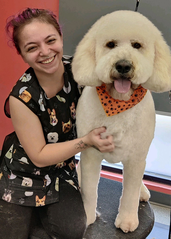 Pawject Runway Program - Humane Fort Wayne