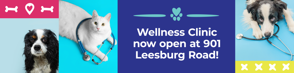 Wellness Services - Humane Fort Wayne